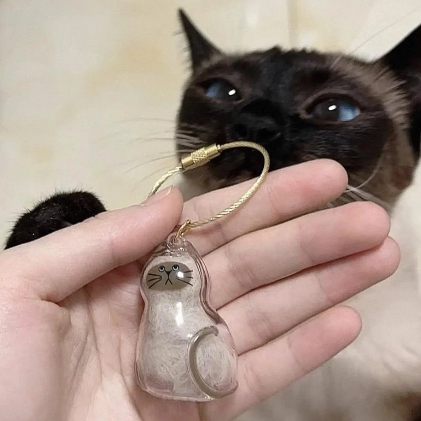 PurrCapsule Cat Hair Keepsake Keychain – mylovely-pets